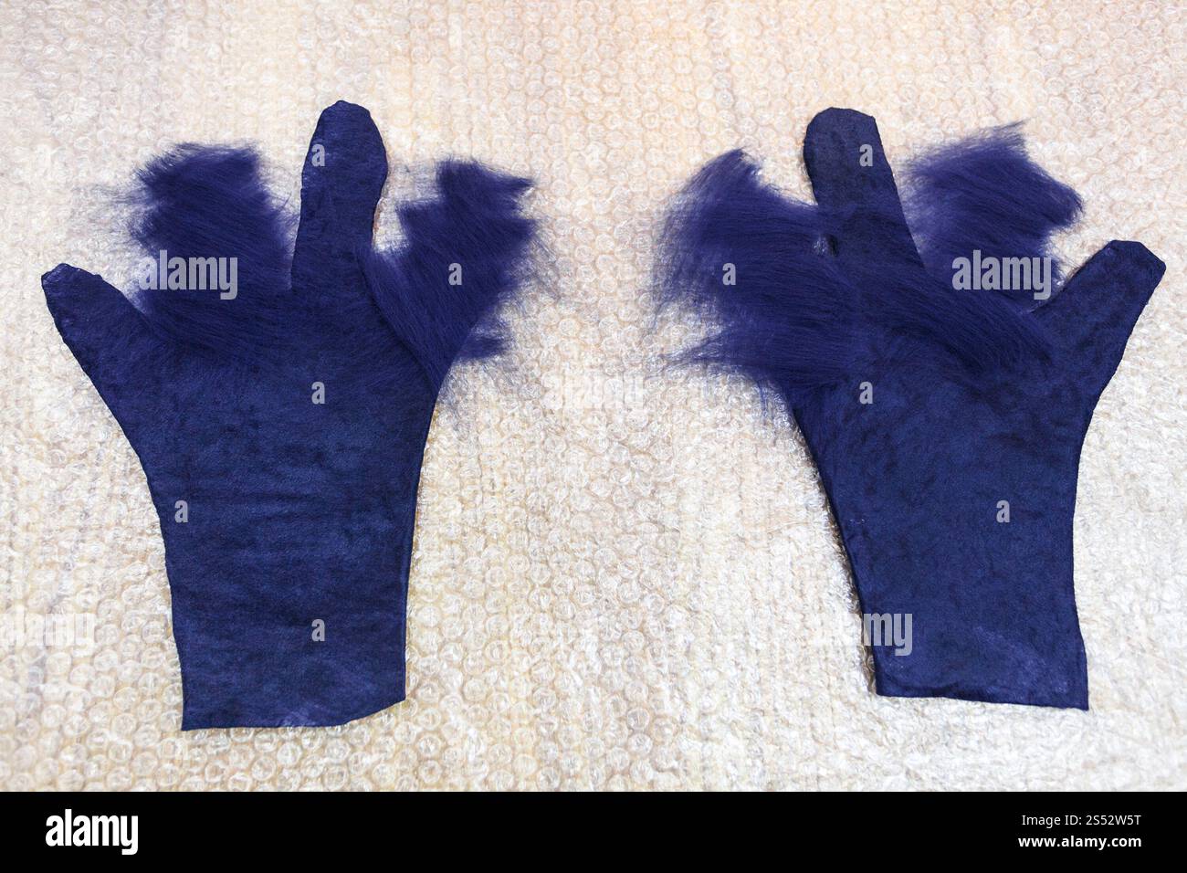 workshop of hand making a fleece gloves from blue Merino sheep wool ...