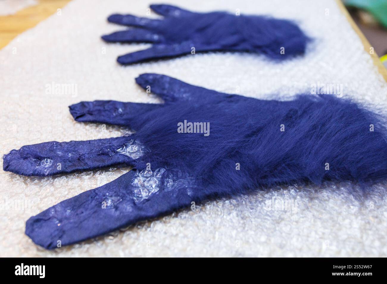 workshop of hand making a fleece gloves from blue Merino sheep wool ...
