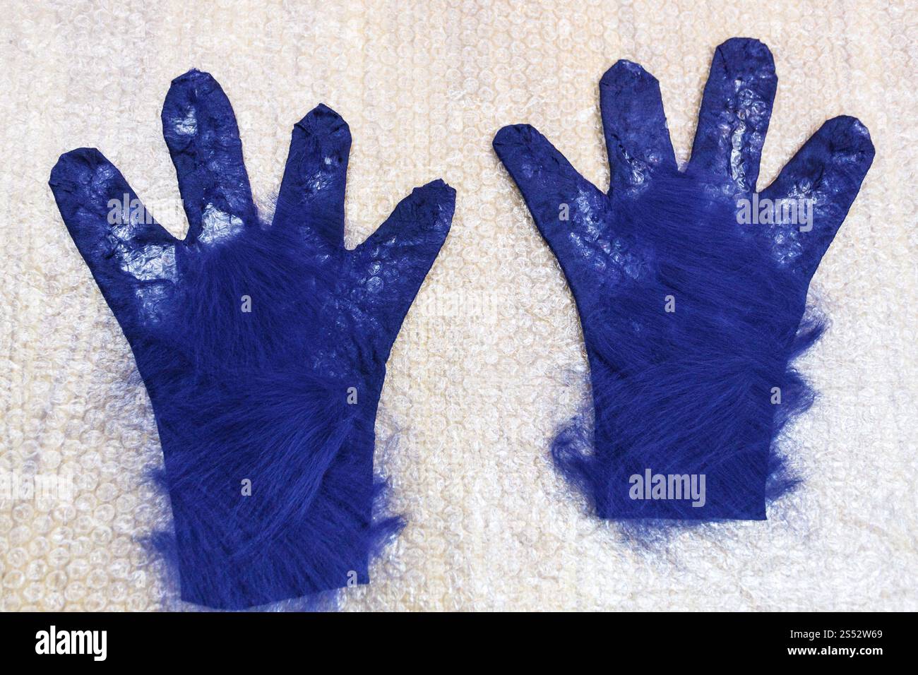 workshop of hand making a fleece gloves from blue Merino sheep wool ...