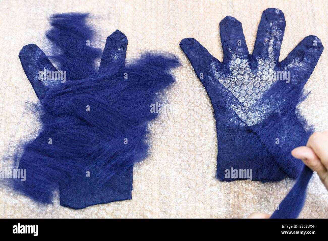 workshop of hand making a fleece gloves from blue Merino sheep wool ...