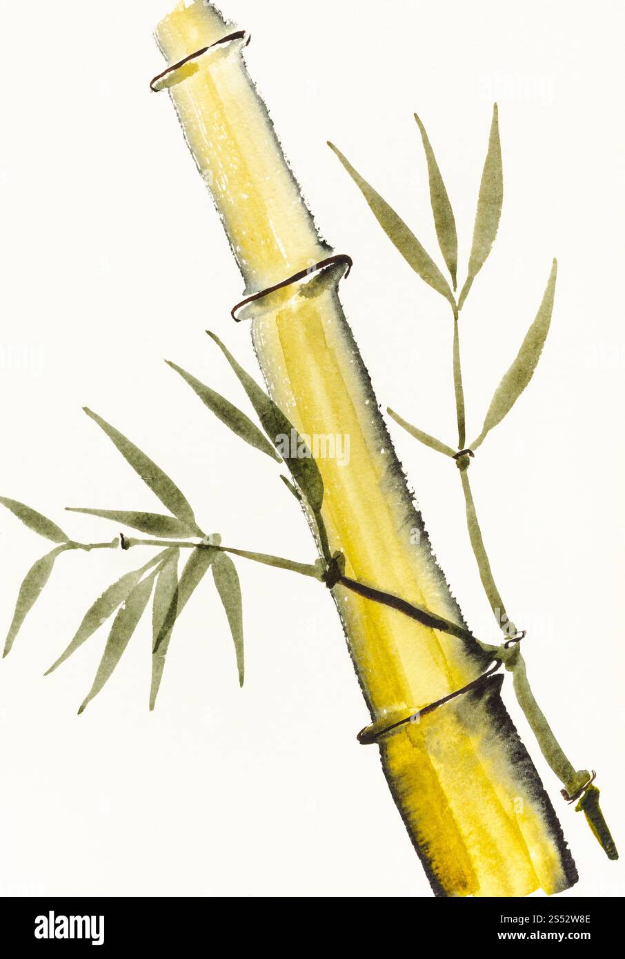 training drawing in sumi-e (suibokuga) style with watercolor paints ...