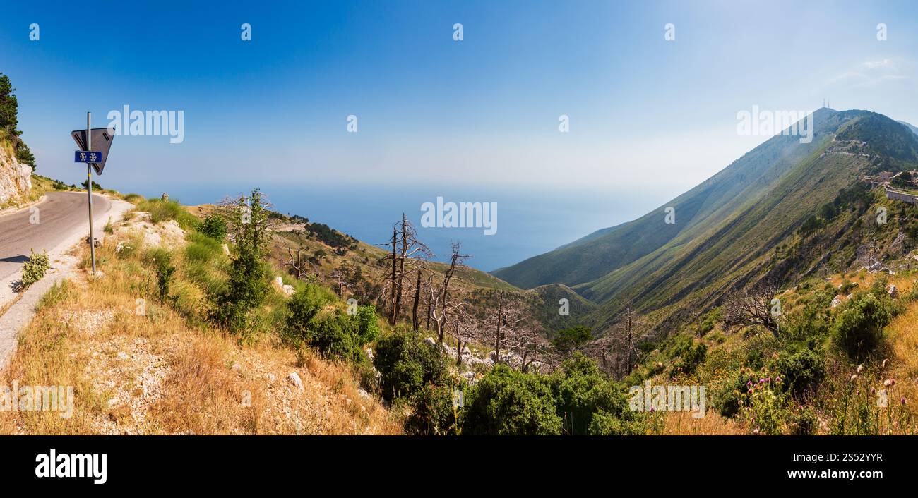 Summer Llogara pass view with dry trees and thistle on slope and sea ...
