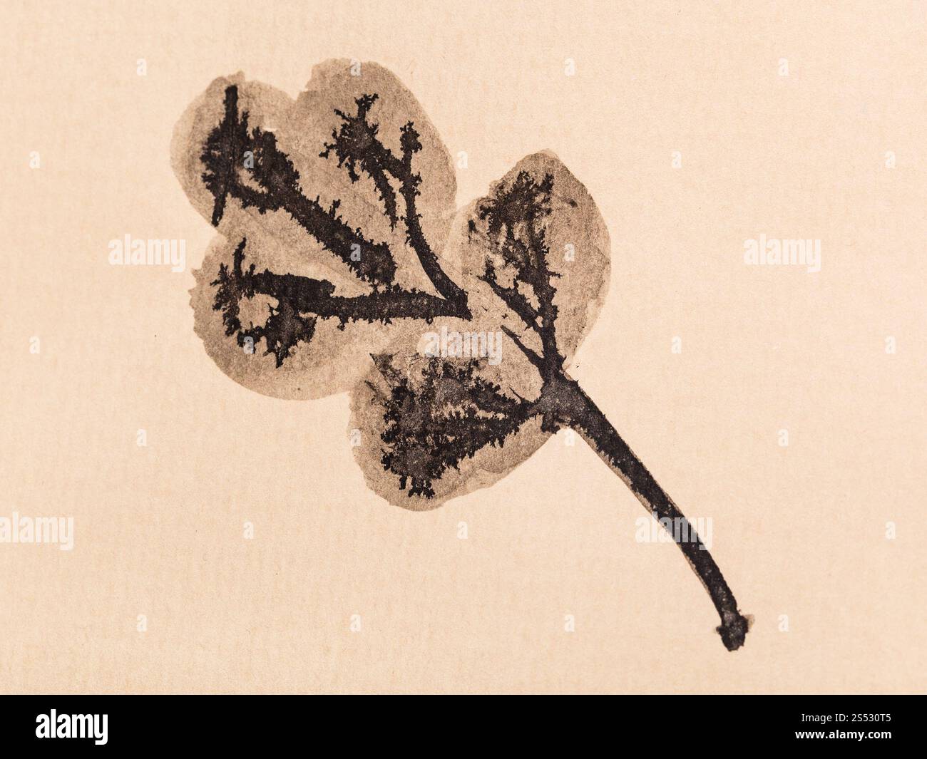training drawing in sumi-e (suibokuga) style - oak leaf handpainted by ...
