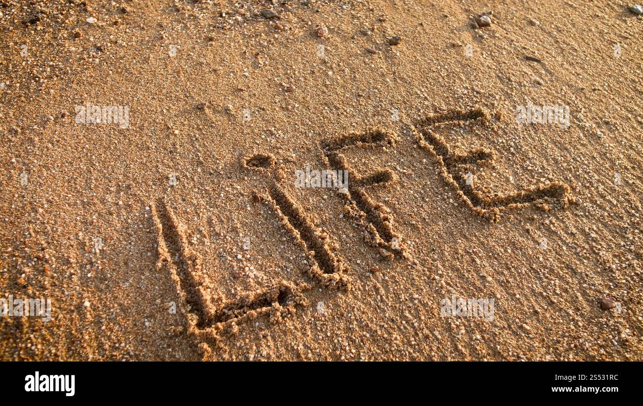 Closeup image of word Life written on beach wet sand. Closeup photo of ...