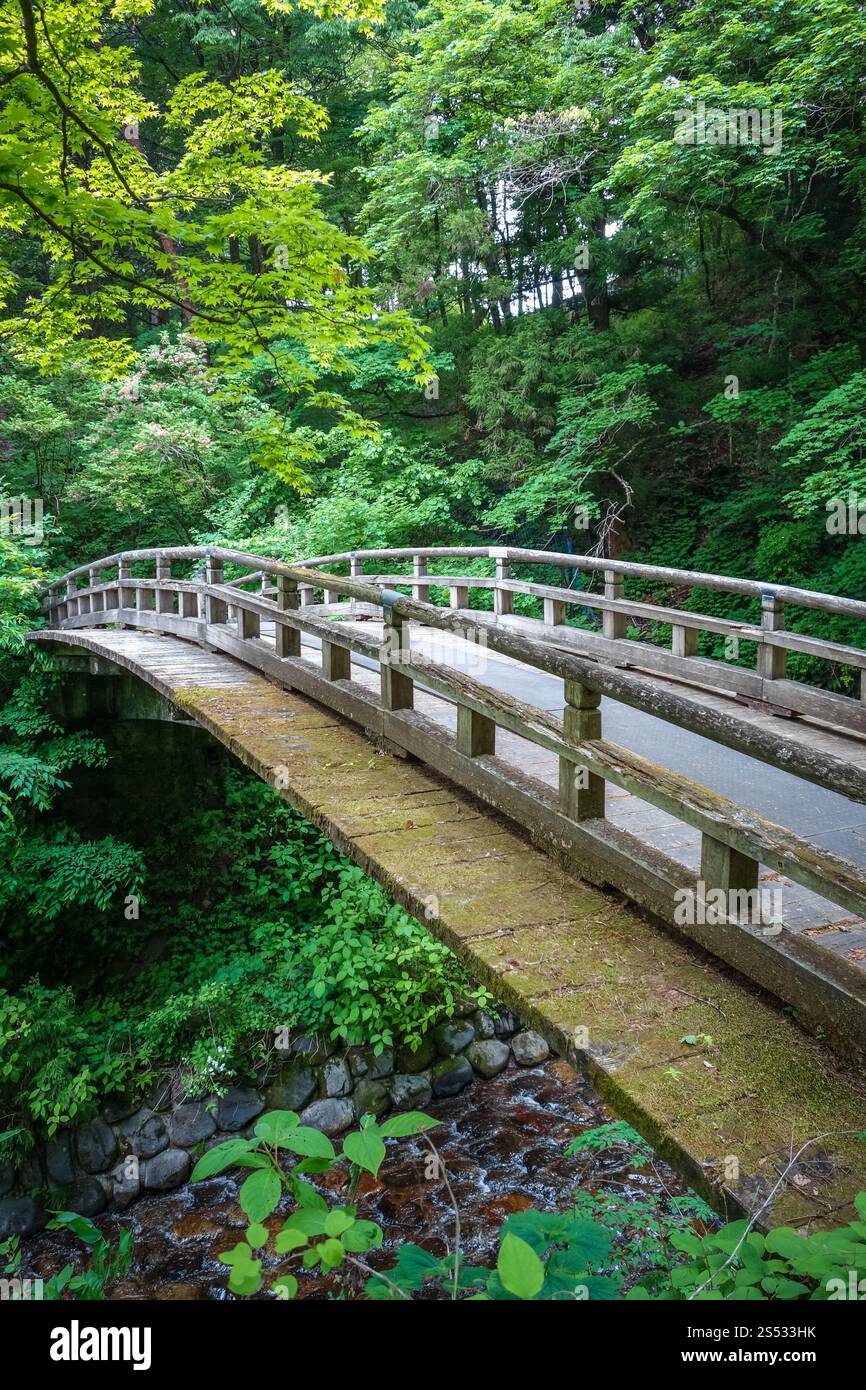 Traditional japanese wooden bridge in botanical garden, Nikko, Japan. Traditional japanese ...