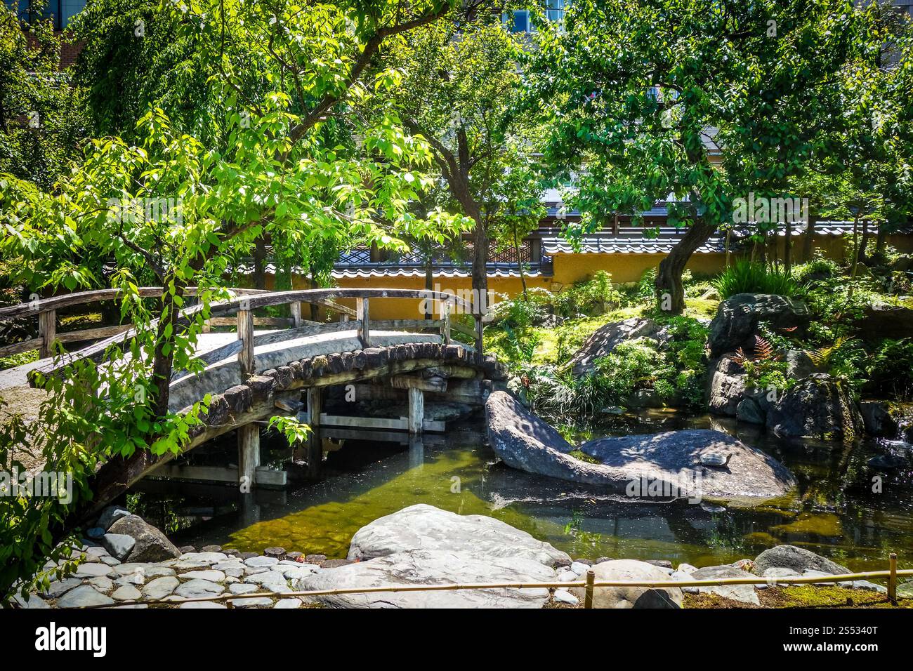 Bridge in temple japanese garden, Tokyo, Japan. Bridge in Japanese ...