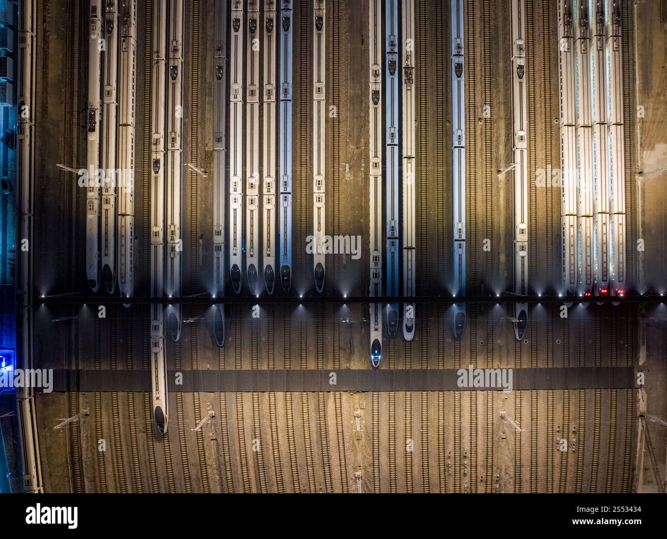 Nanjing, China. 14th Jan, 2025. NANJING, CHINA - JANUARY 14, 2025 ...