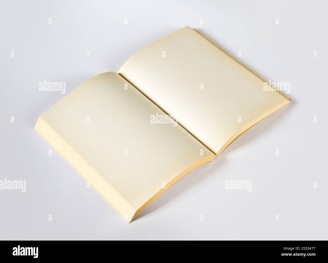 Old open blank book mockup, isolated on grey. Top view. Old open blank ...