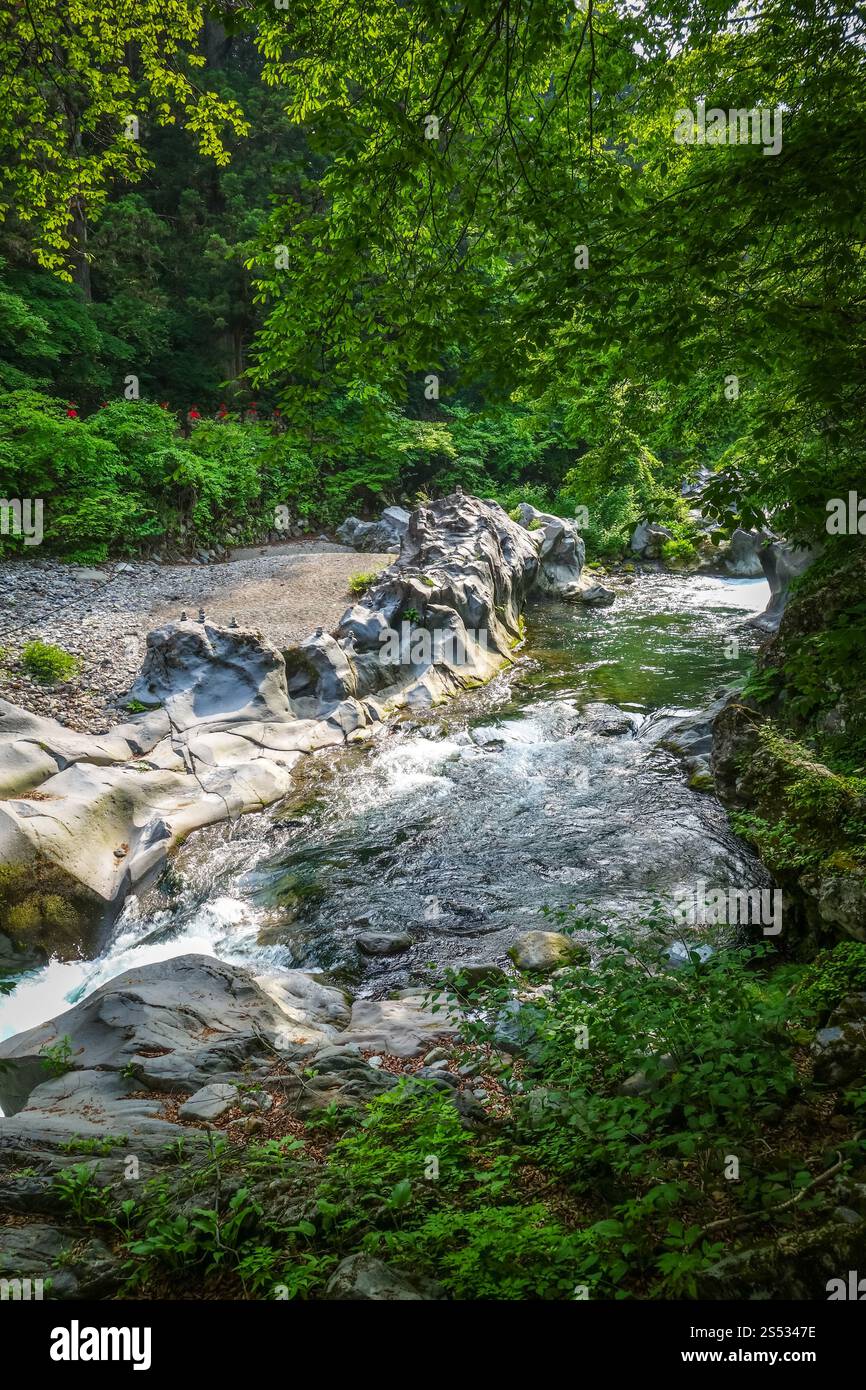 Kanmangafuchi abyss site on Daiyagawa river, Nikko, Japan ...
