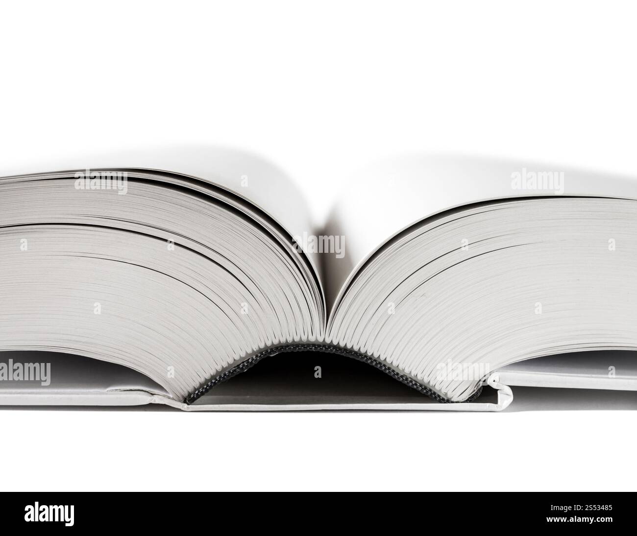 Open blank dictionary, book mockup on white background. Open blank ...