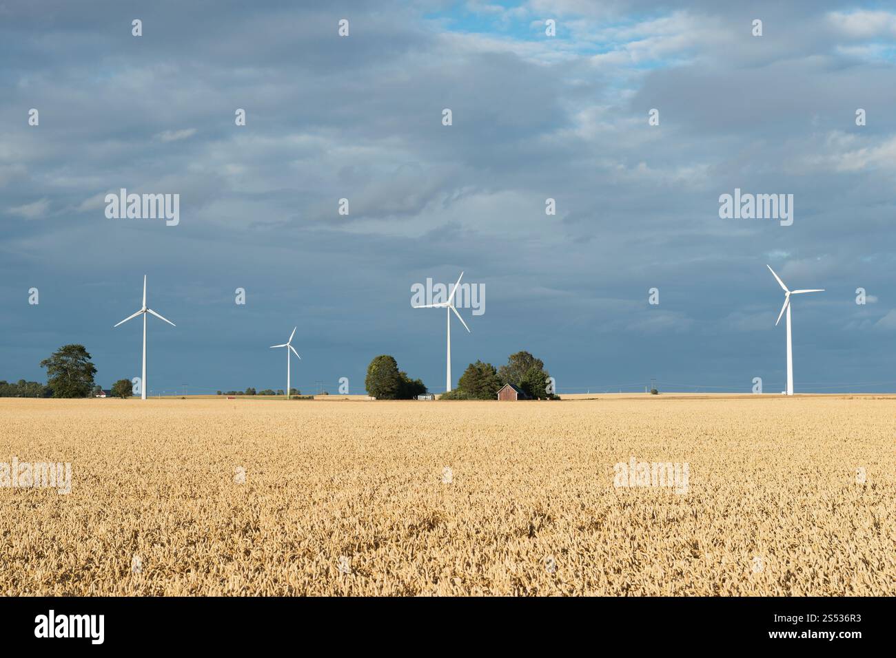 Crop field with Wind Turbines Stock Photo - Alamy