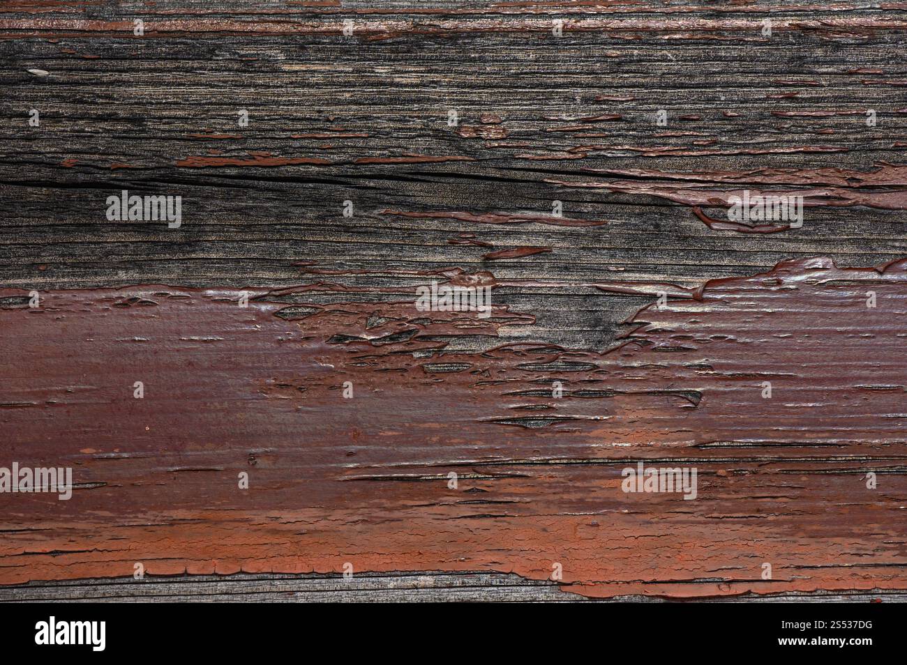 A close-up reveals aged wood's rich colors and unique textures, each ...