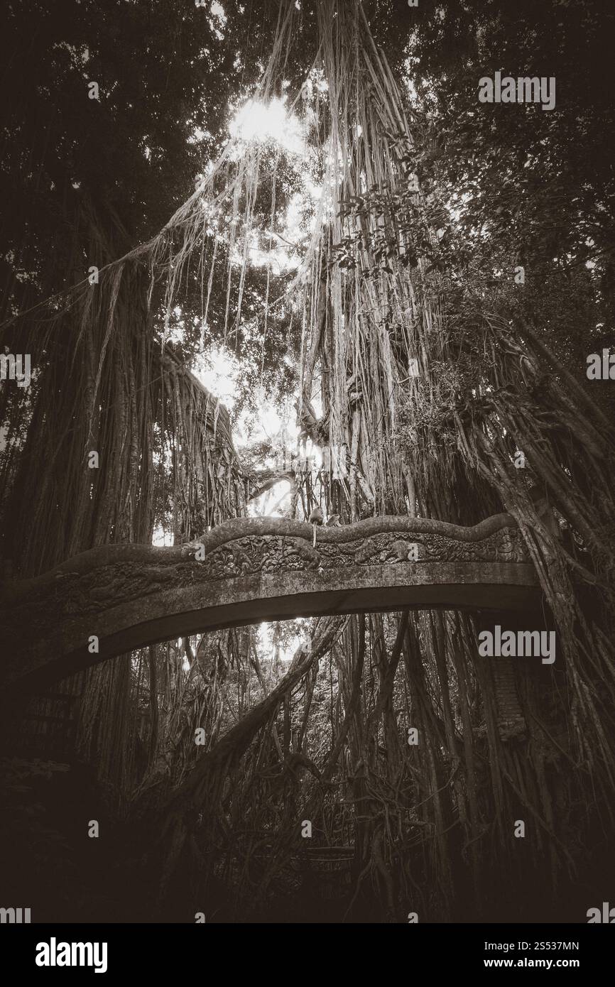 Old bridge in the sacred Monkey Forest, Ubud, Bali, Indonesia. Old ...