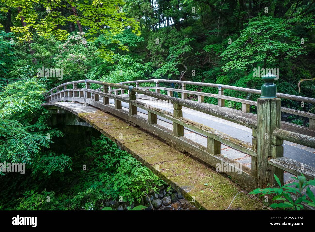 Traditional japanese wooden bridge in botanical garden, Nikko, Japan. Traditional japanese ...
