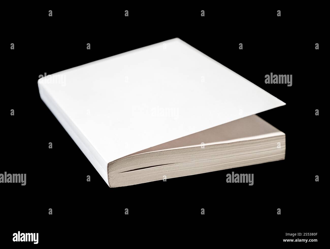 Closed blank book mockup, isolated on black. Closed blank book isolated ...