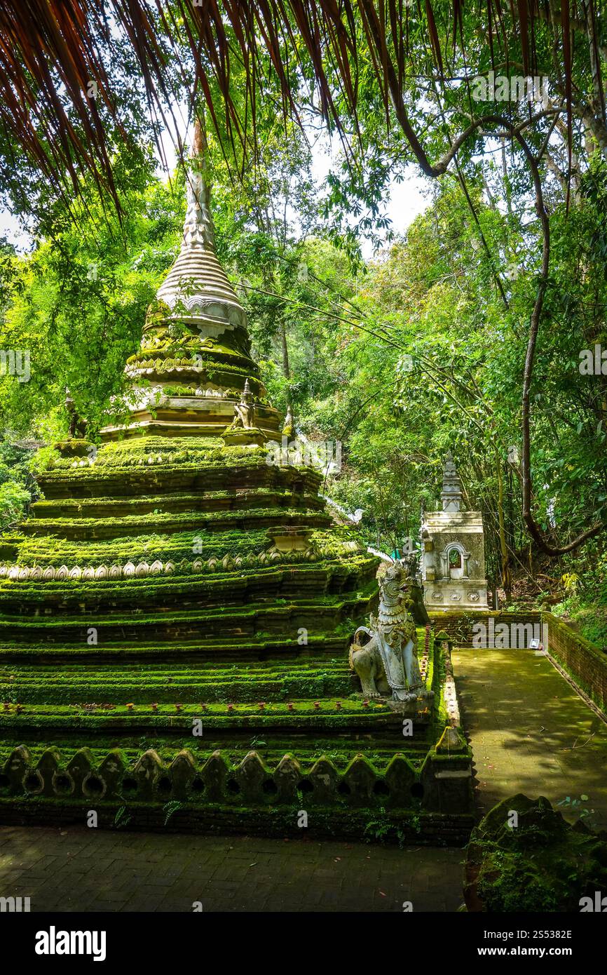 Wat Palad temple stupa in jungle, Chiang Mai, Thailand. Wat Palad ...