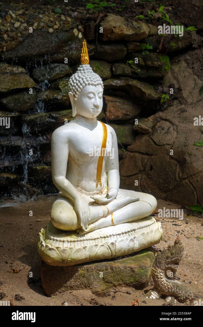 White Buddha statue in jungle, Wat Palad, Chiang Mai, Thailand. Buddha ...