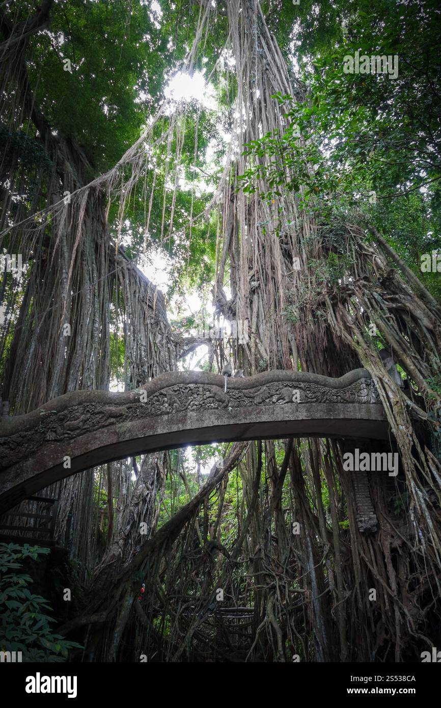 Old bridge in the sacred Monkey Forest, Ubud, Bali, Indonesia. Old ...
