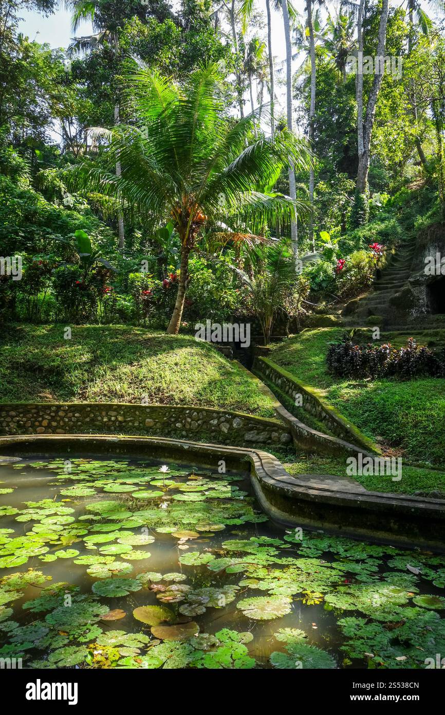 Pond and jungle in Goa Gajah elephant cave temple, Bedulu, Ubud, Bali ...