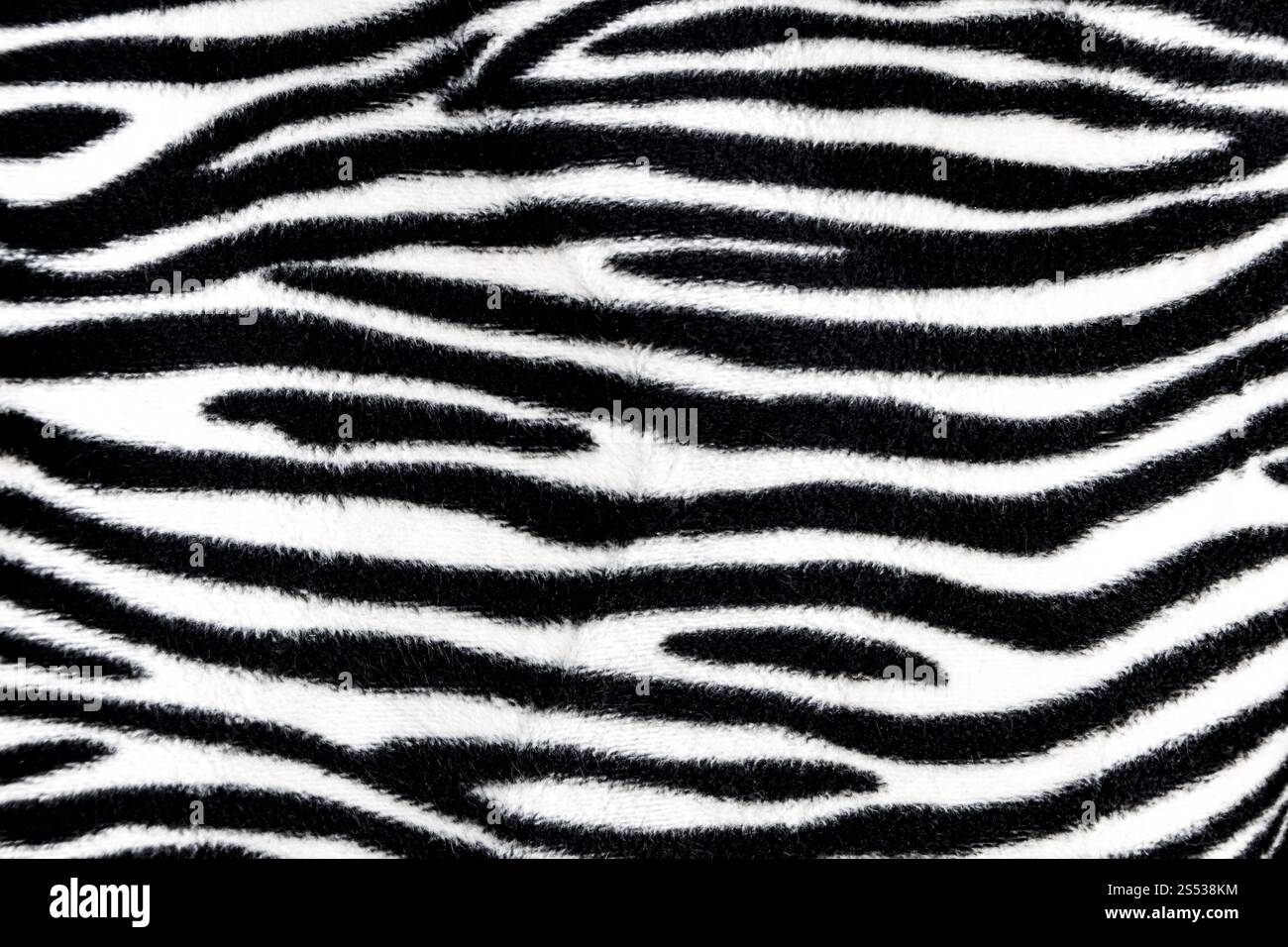 Zebra fur background texture close up view. Zebra fur background ...