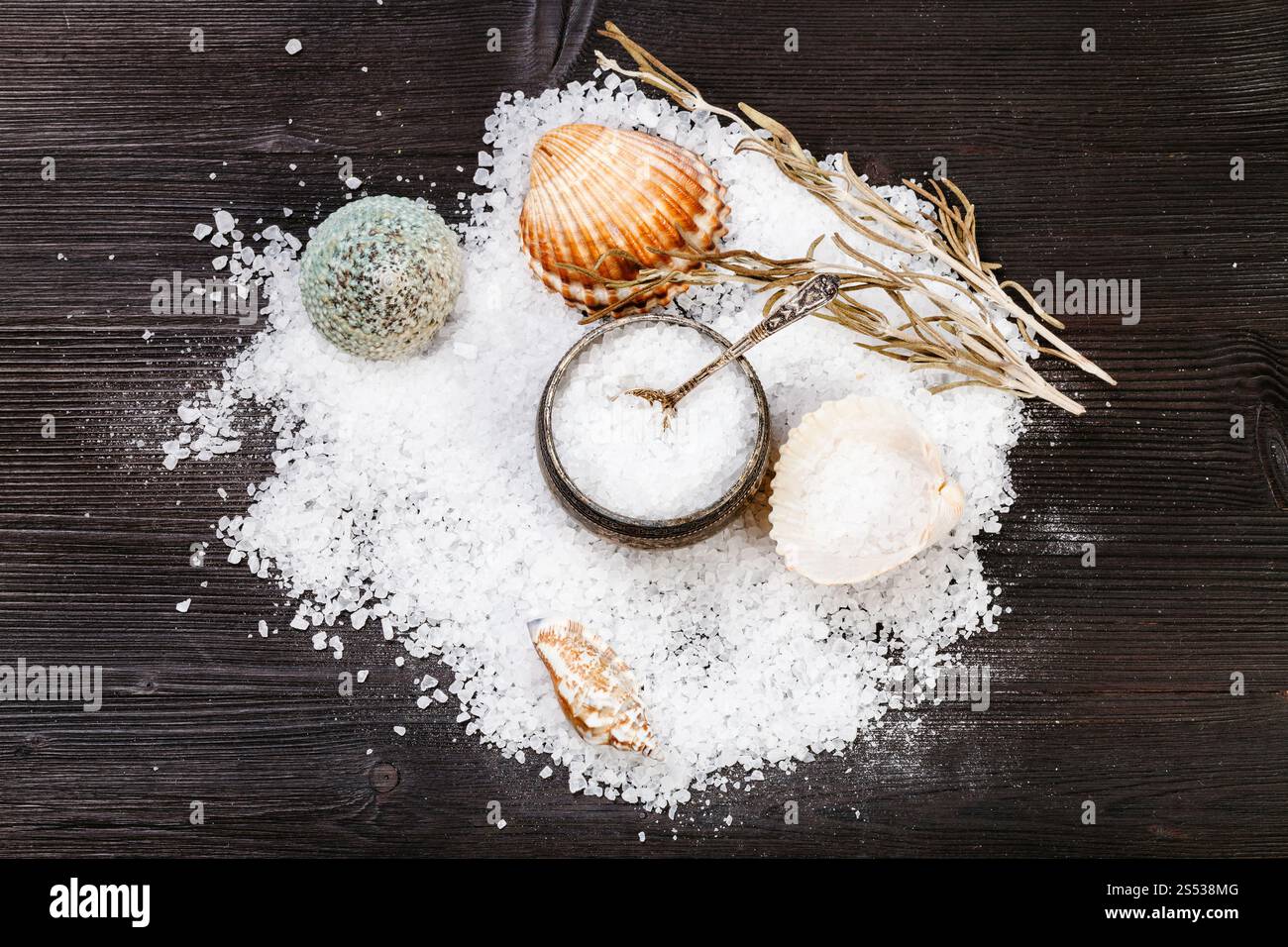 still-life with salt cellar, shells and coarse grained Sea Salt on dark ...