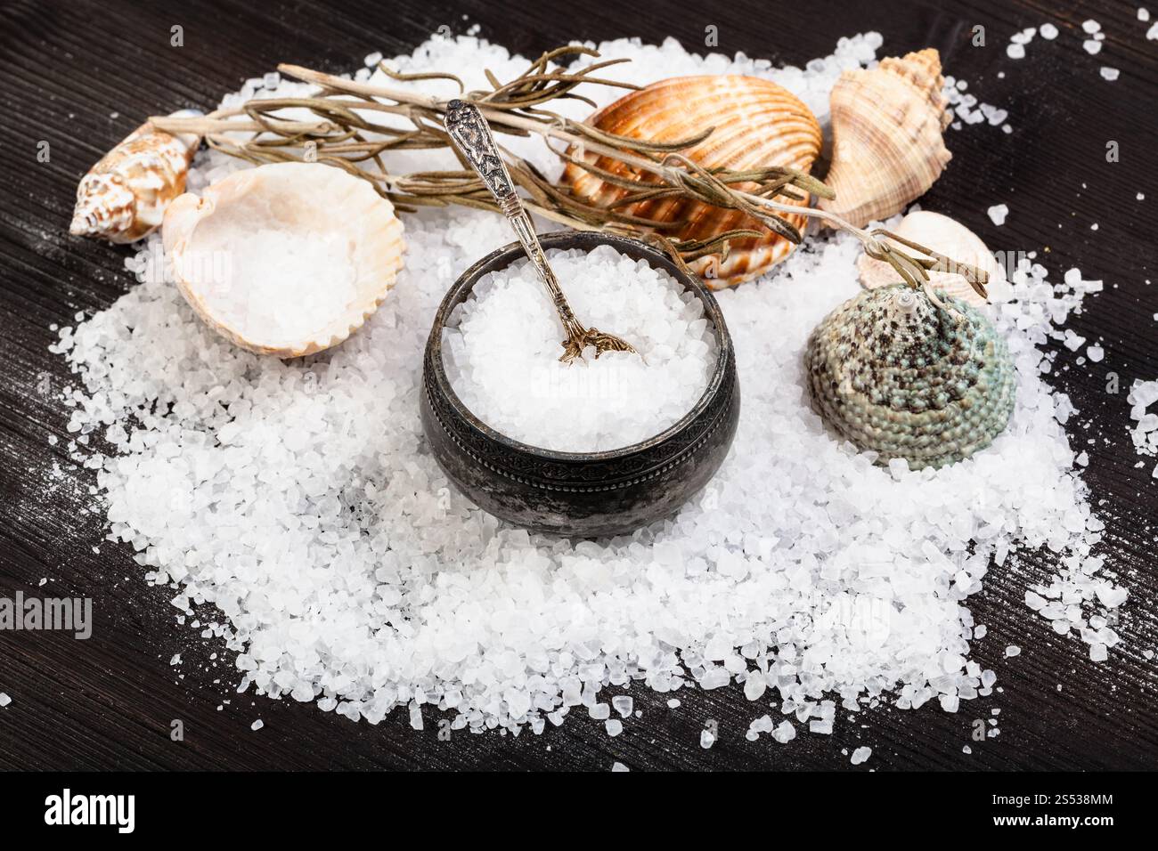 still-life with vintage salt cellar, shells and coarse grained Sea Salt ...