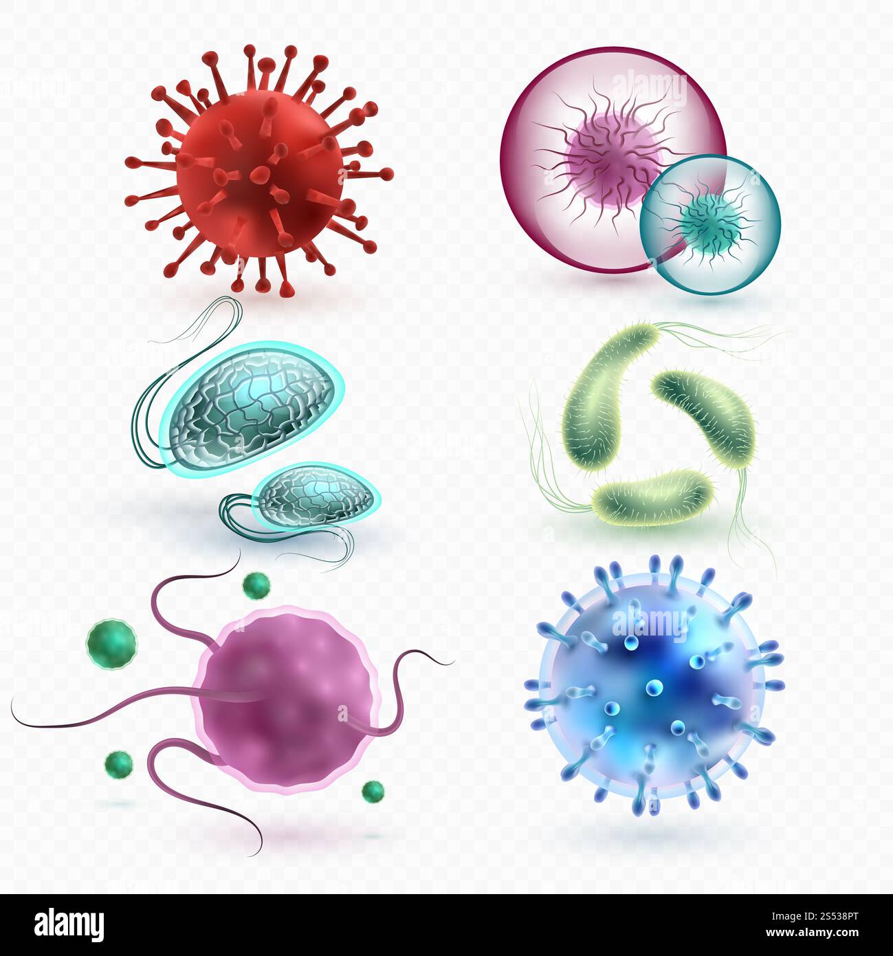 Realistic 3d microscopic viruses and bacteria isolated vector set ...