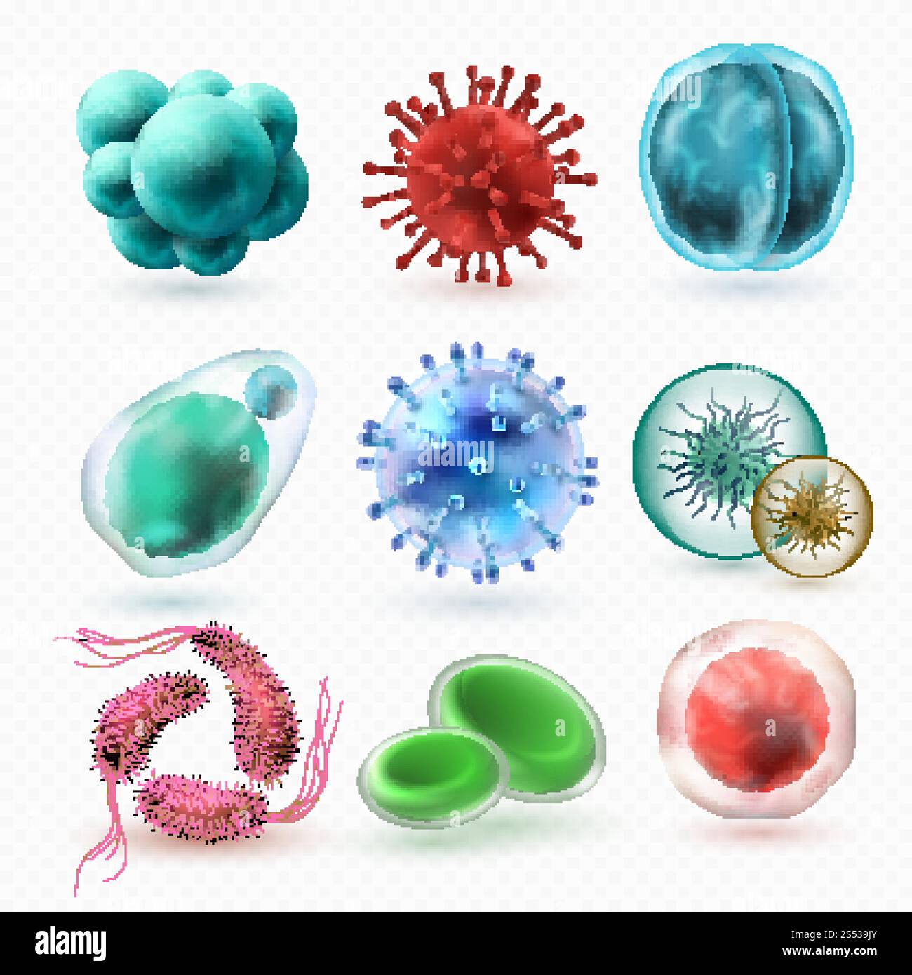 Various microscopic 3d bacteria and viruses. Microbiology vector ...