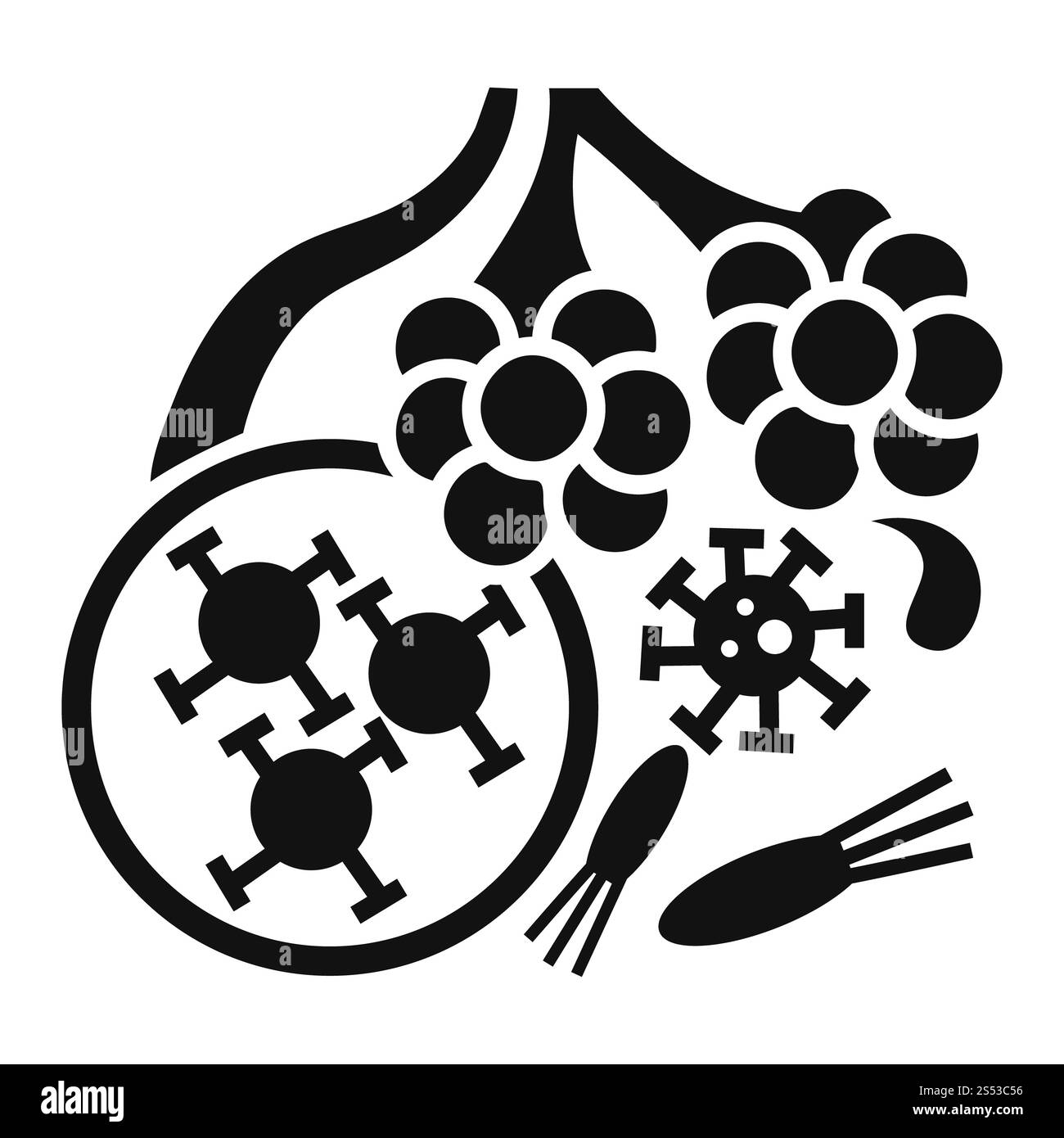 Respiratory system diagram Black and White Stock Photos & Images - Alamy