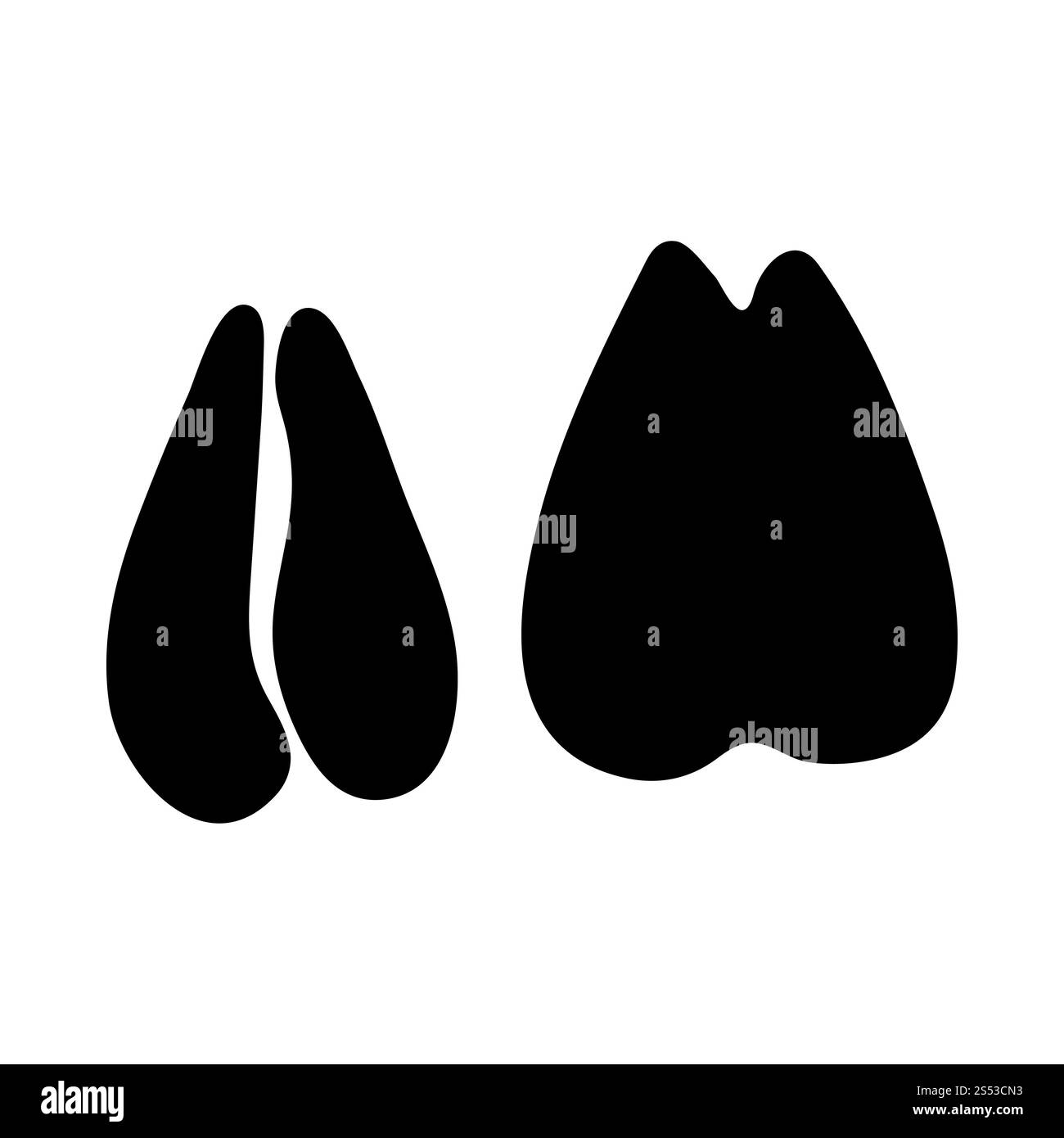 Saiga Footprint. Black Silhouette Design. Vector Illustration Stock ...