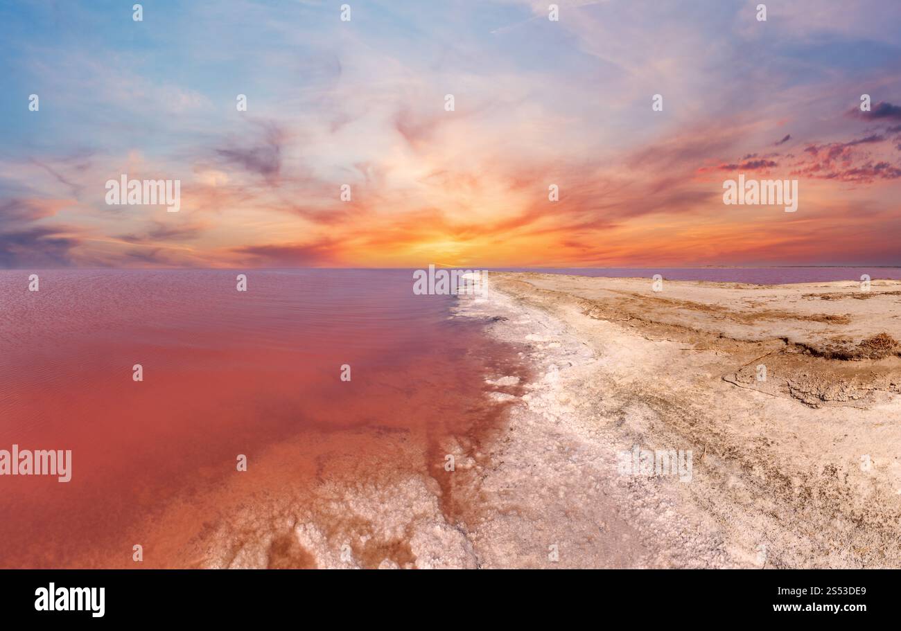 Red sunset above pink extremely salty Syvash Lake, colored by ...