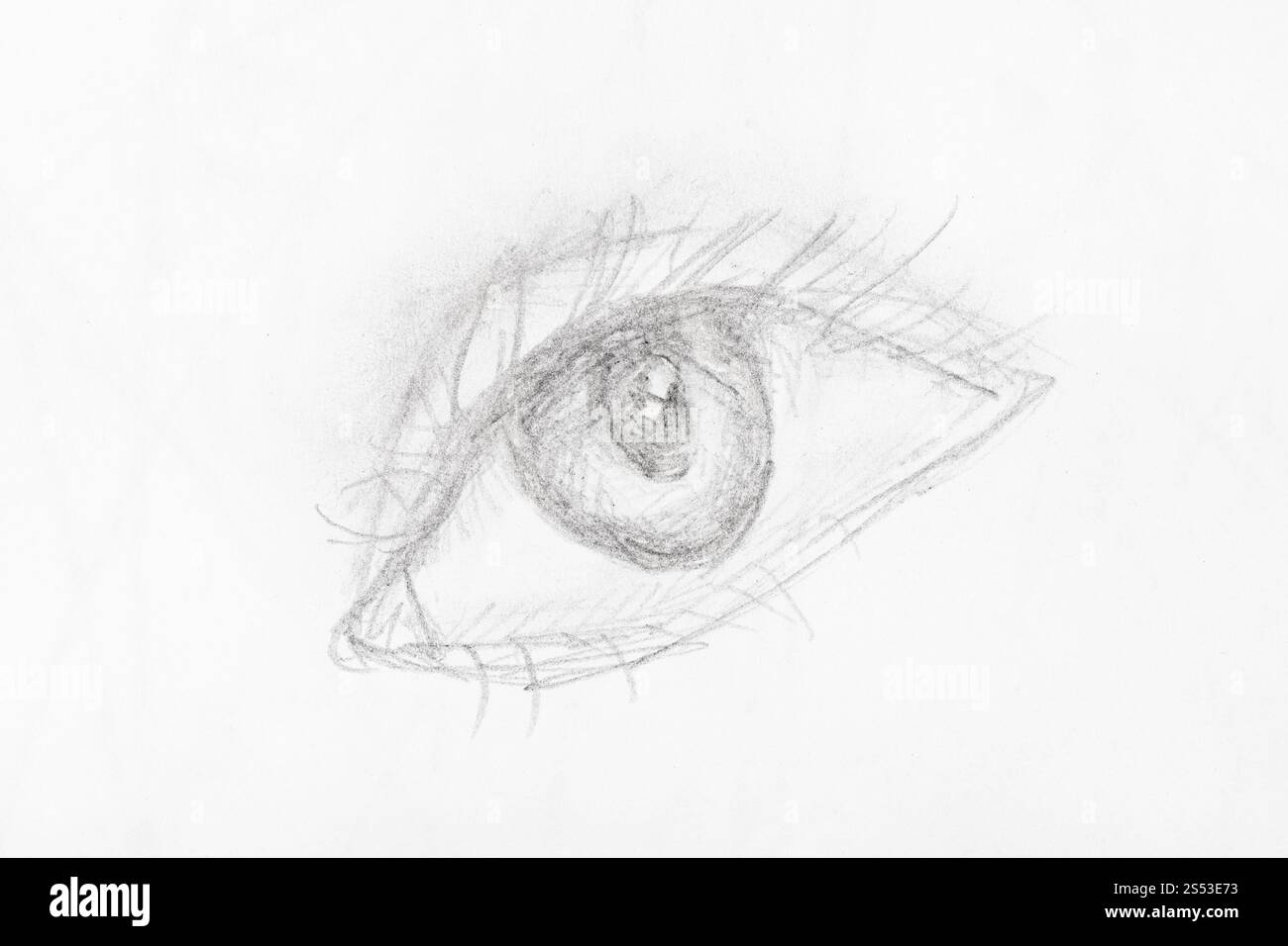 sketch of human eye hand-drawn by lead pencil on white paper Stock ...