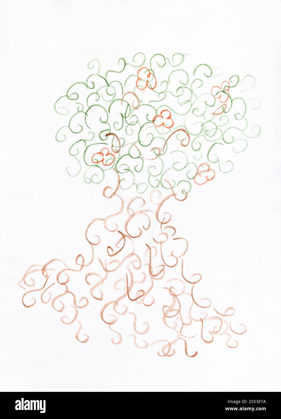 fancy tree from squiggles of hand-drawn by colour pencils on white ...