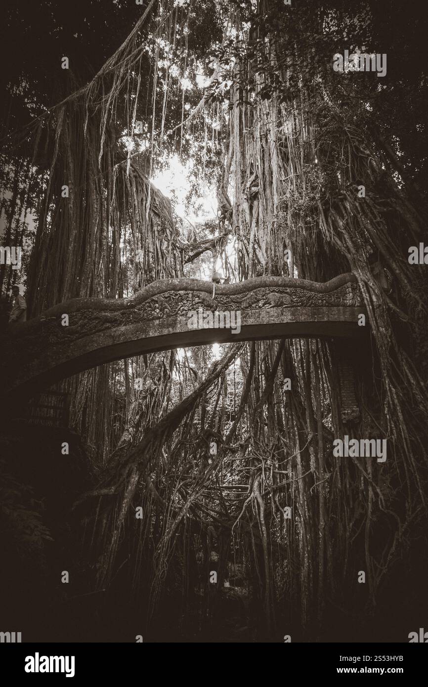 Old bridge in the sacred Monkey Forest, Ubud, Bali, Indonesia. Old ...