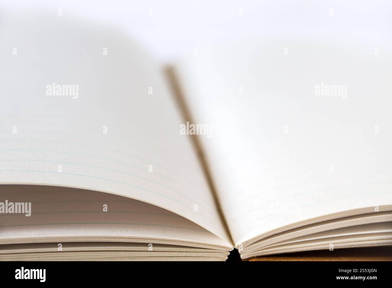 Open blank notebook mockup closeup view. Open blank notebook closeup view Stock Photo - Alamy