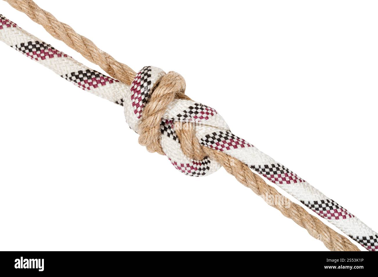 another side of flemish bend joining two ropes isolated on white ...