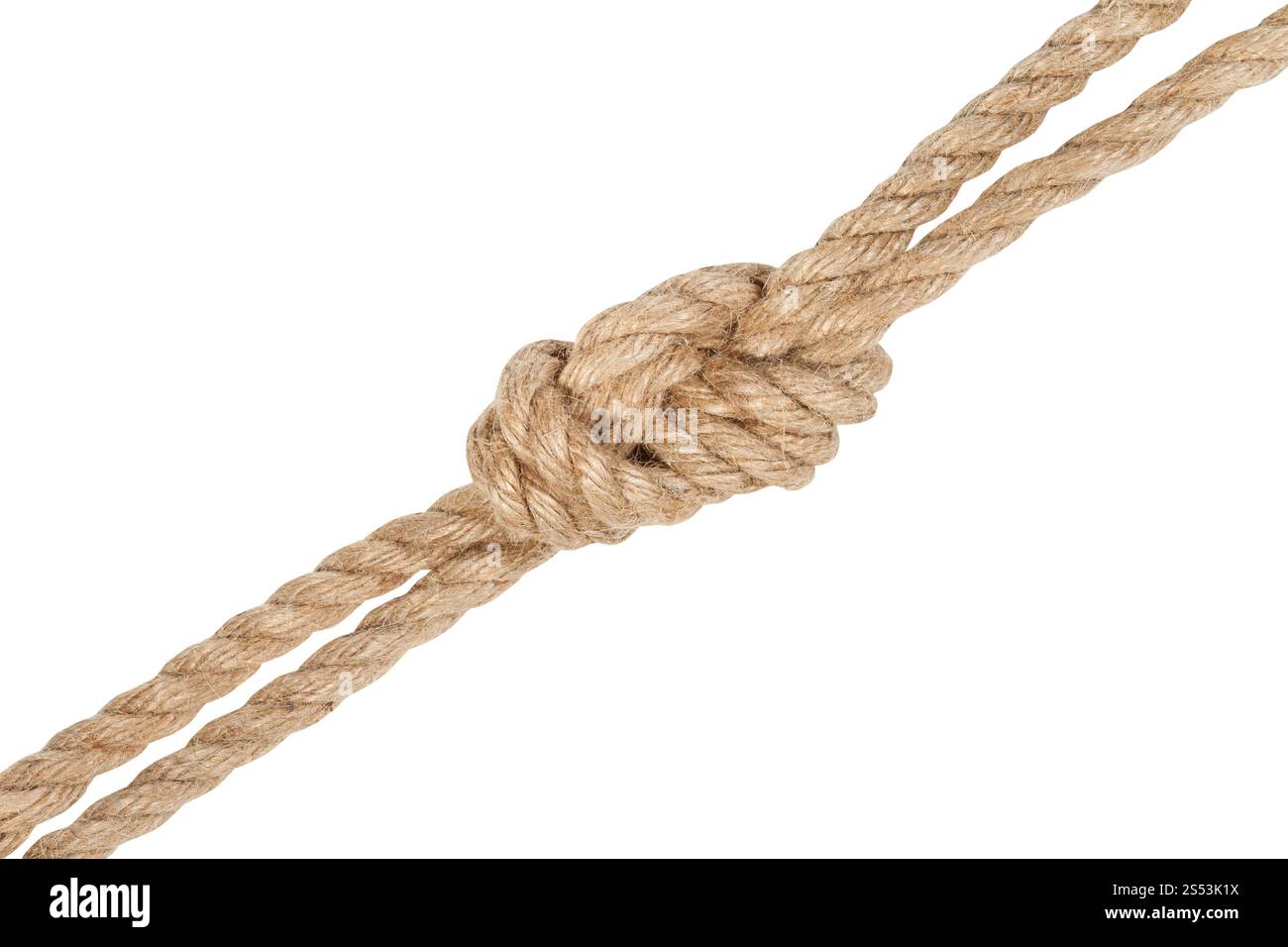 another side of figure eight bend joining two ropes isolated on white ...