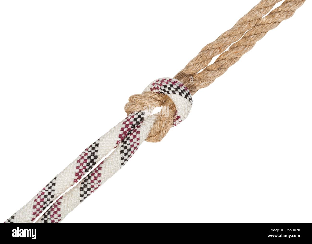 square knot joining two ropes isolated on white background Stock Photo ...