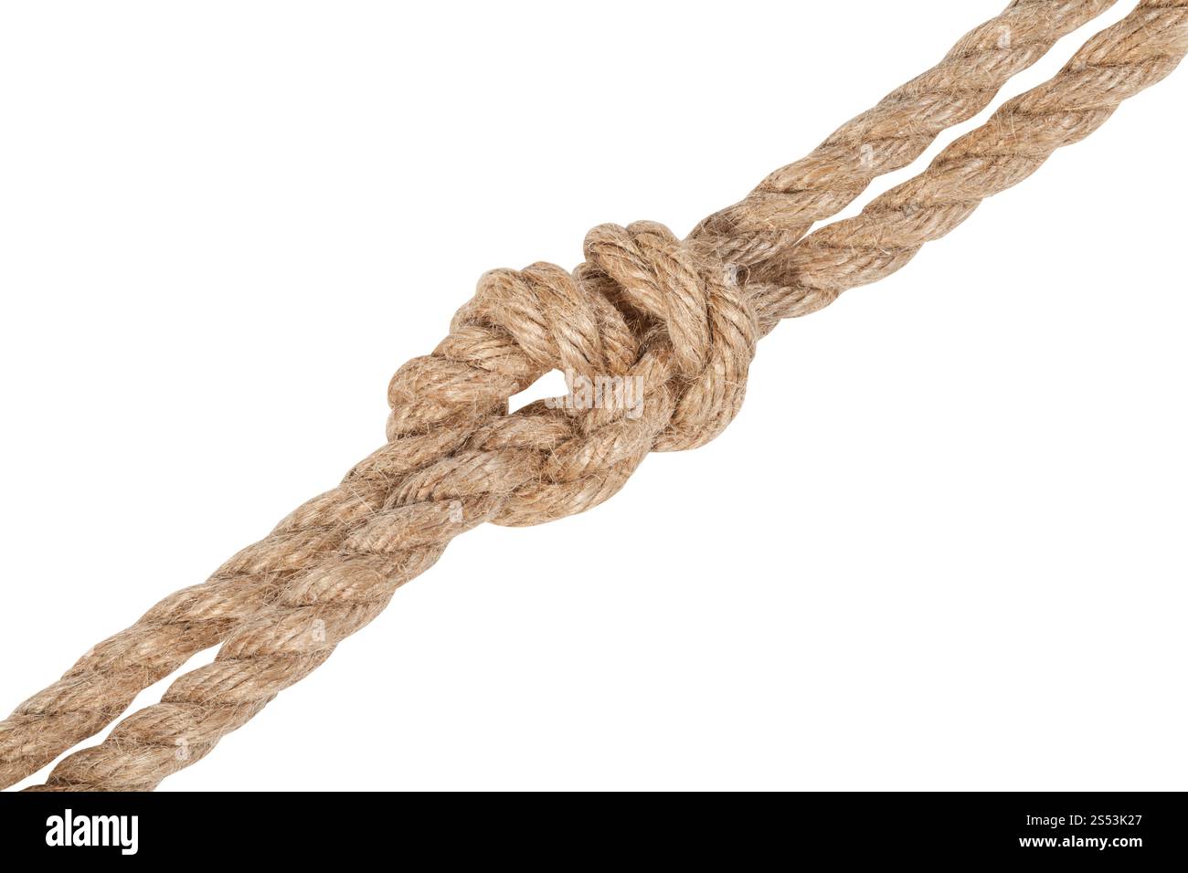 another side of surgeon's knot joining two ropes isolated on white ...