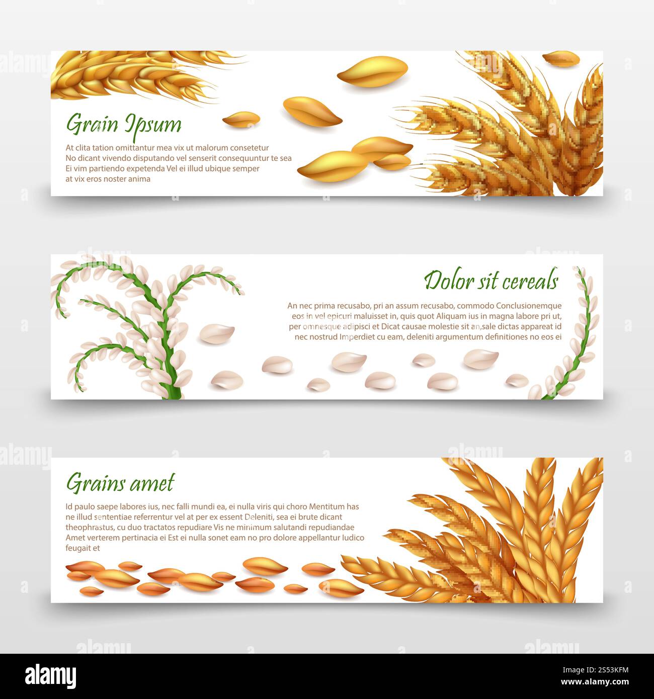 Agricultural cereals banners template. Realistic grains and ears of ...