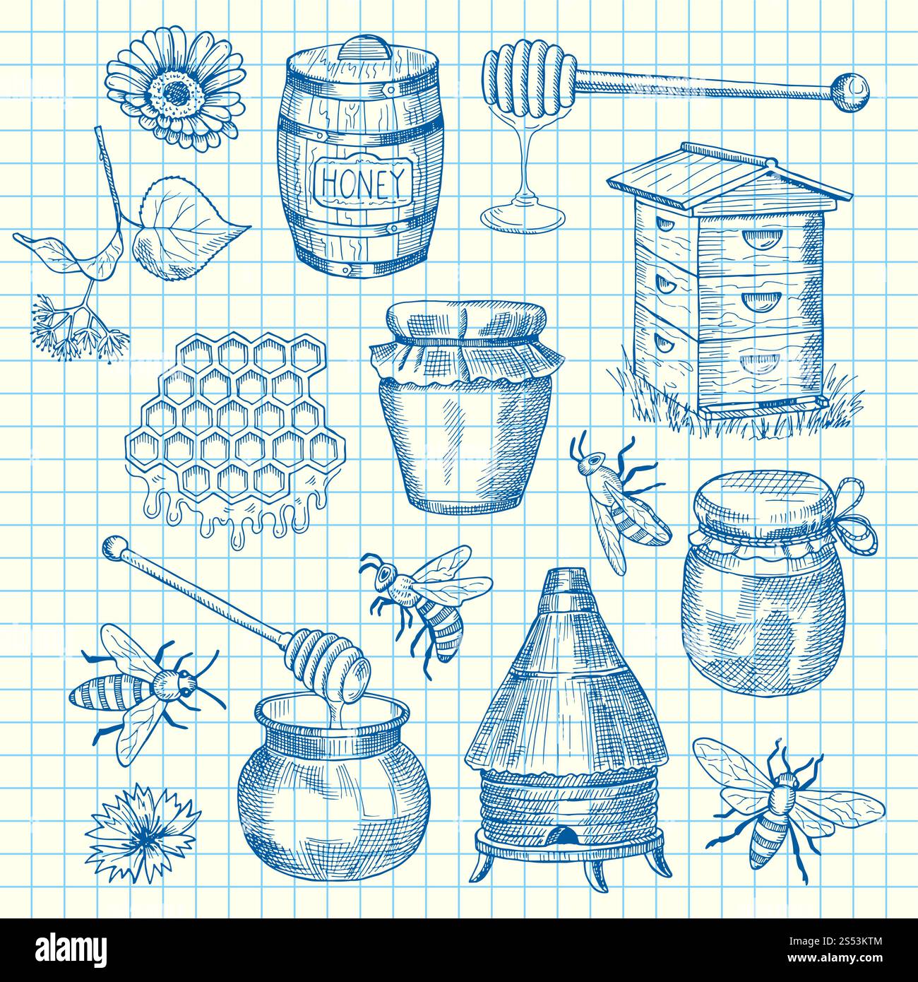 Vector set of hand drawn honey elements on cell sheet illustration ...