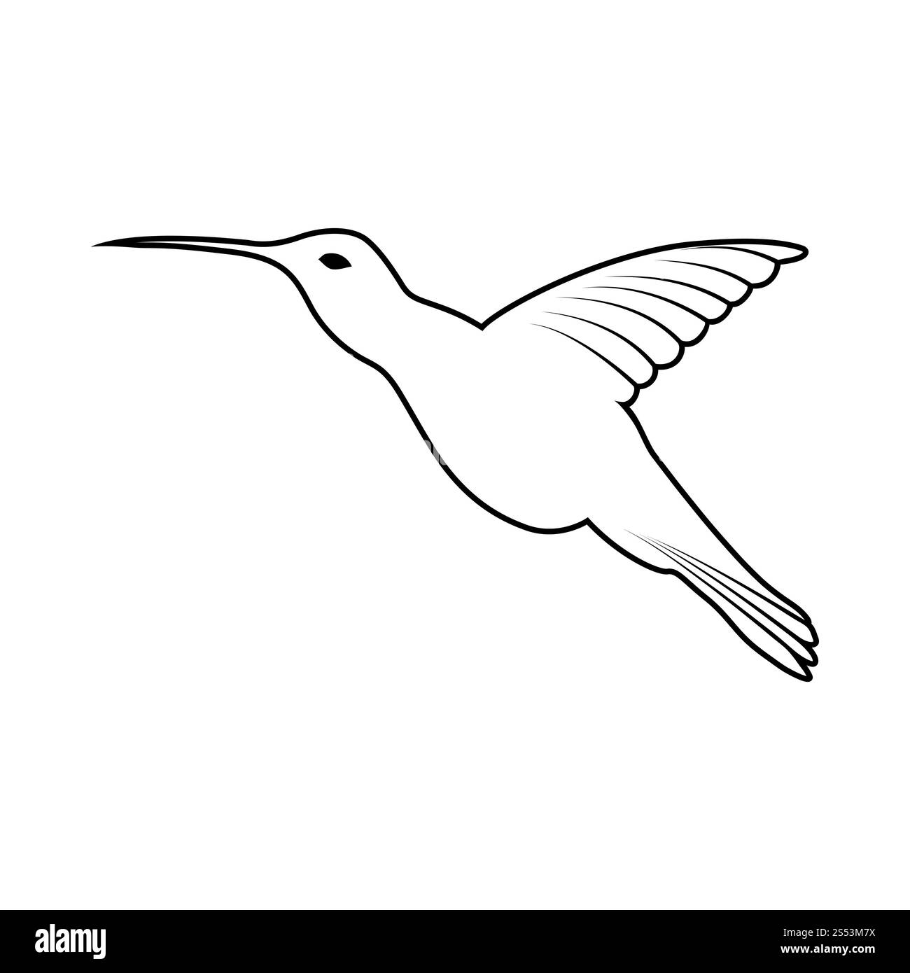 Sketch of Bird. Outline Design. Vector Illustration Stock Photo - Alamy