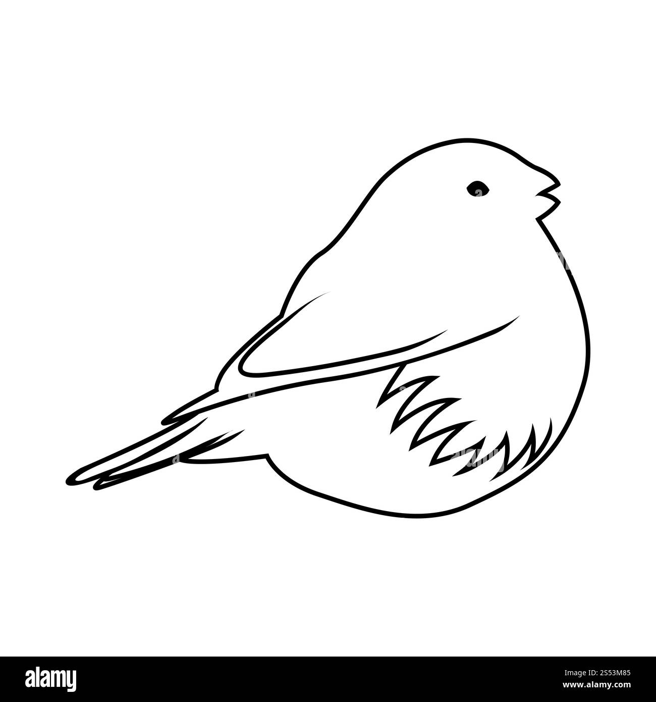 Sketch of Bird. Outline Design. Vector Illustration Stock Photo - Alamy