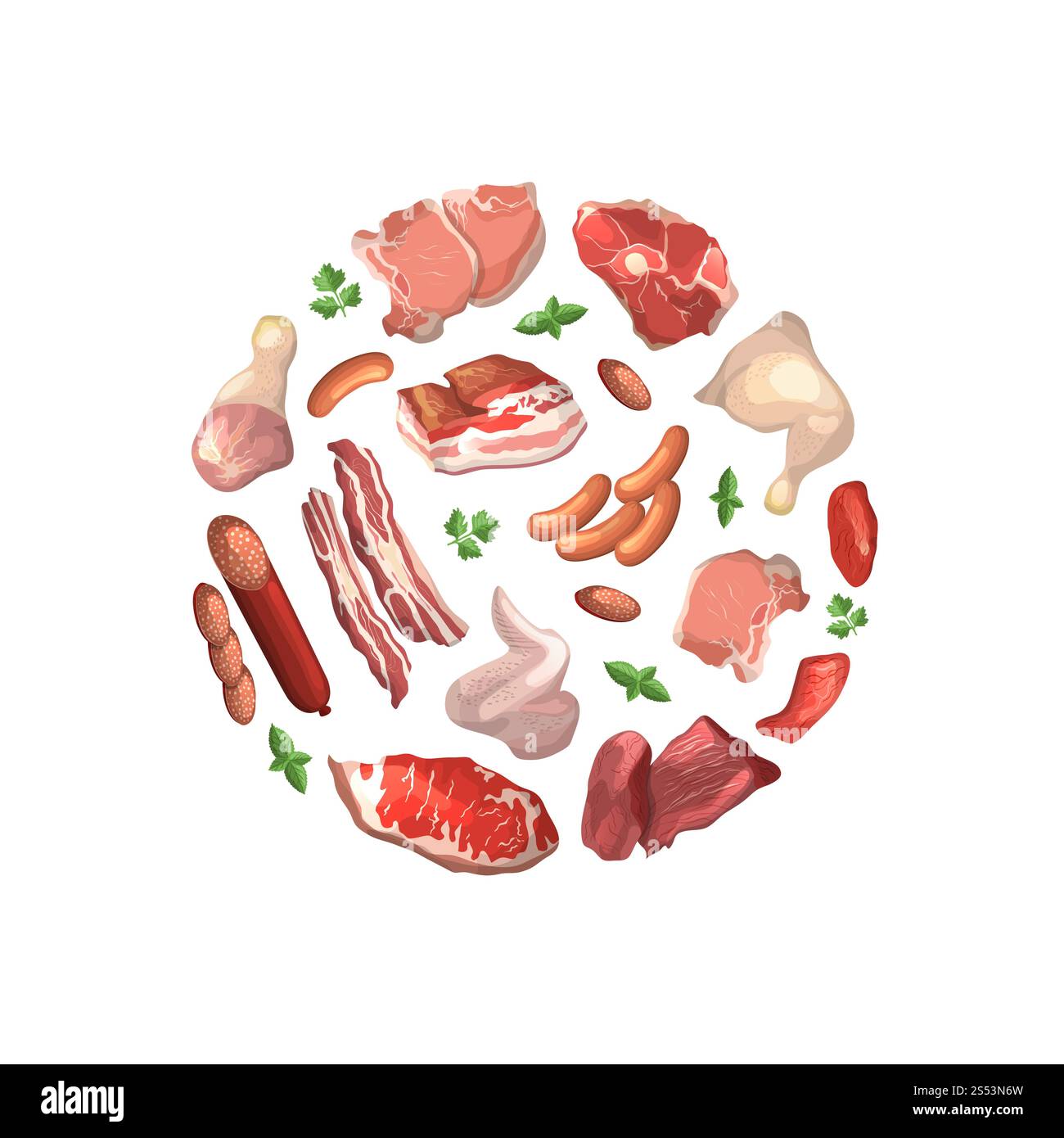 Vector cartoon meat elements gathered in circle illustration isolated ...