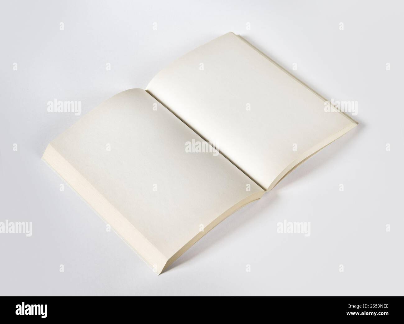 Old open blank book mockup, isolated on grey. Top view. Old open blank ...