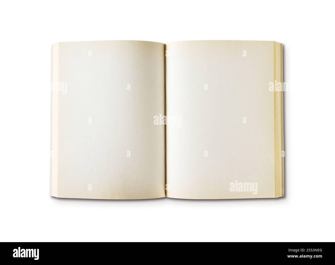 Old open blank book mockup, isolated on white. Top view. Old open blank ...