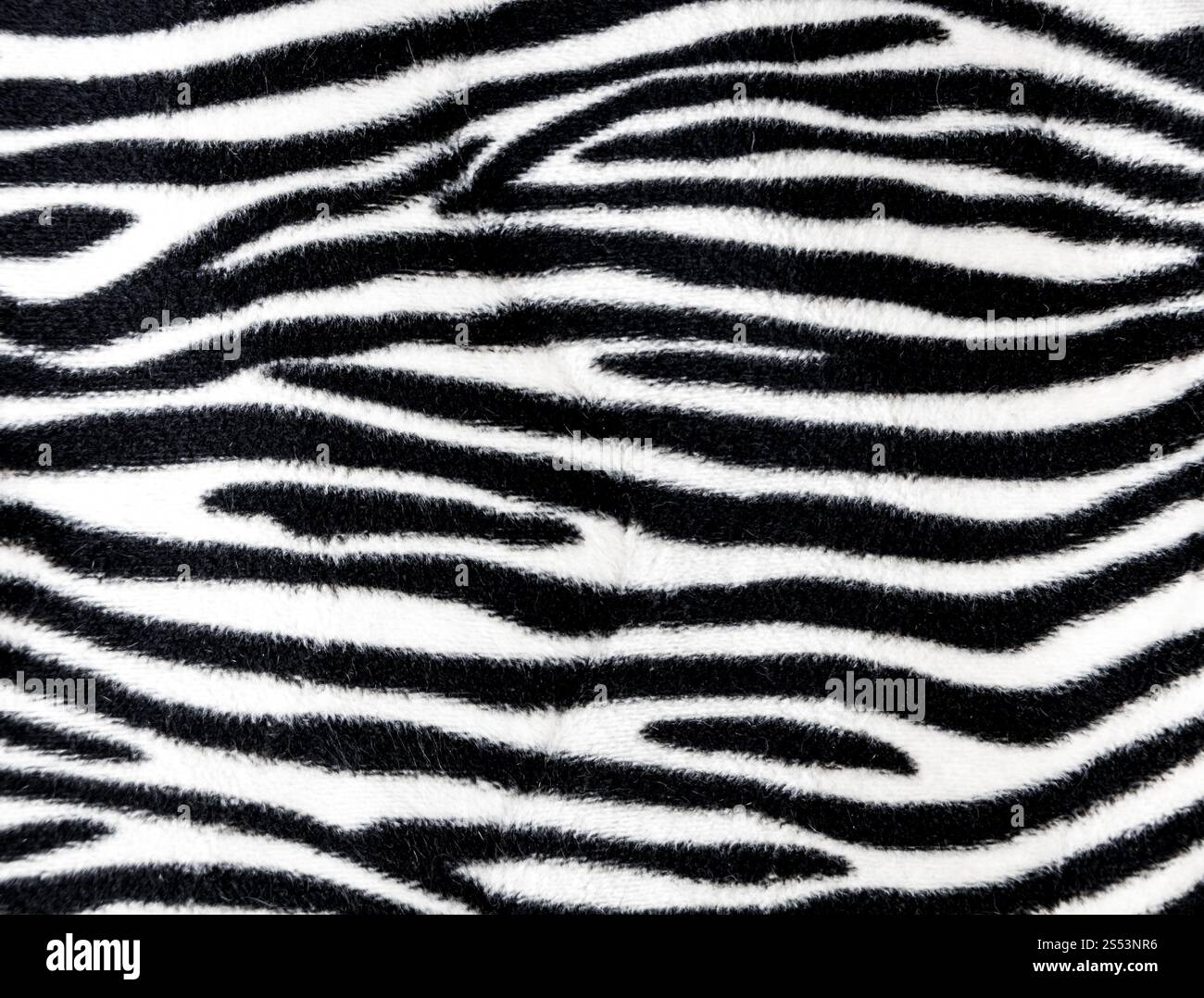 Zebra fur background texture close up view. Zebra fur background ...