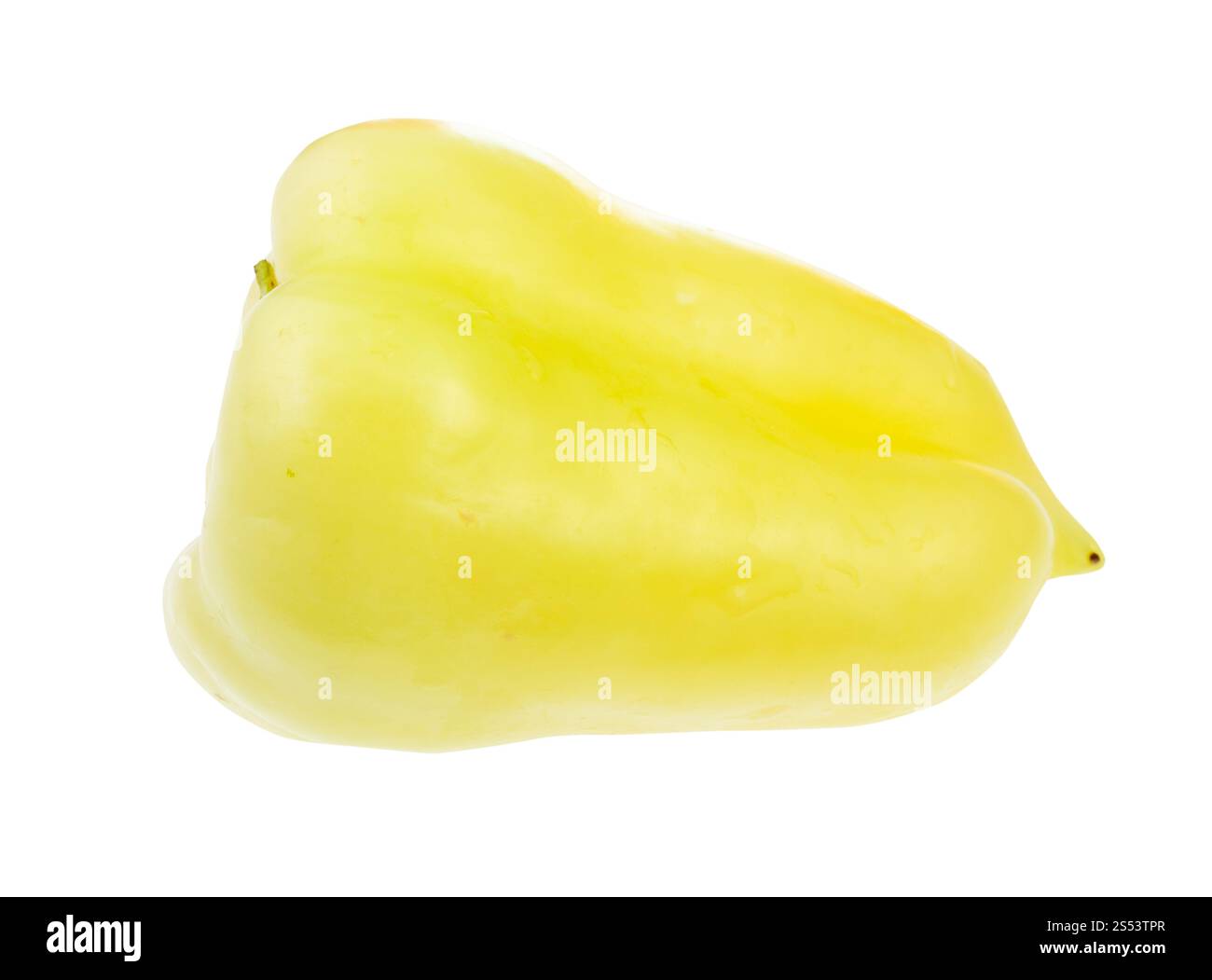 side view of ripe fruit of pale yellow bell pepper (sweet pepper ...