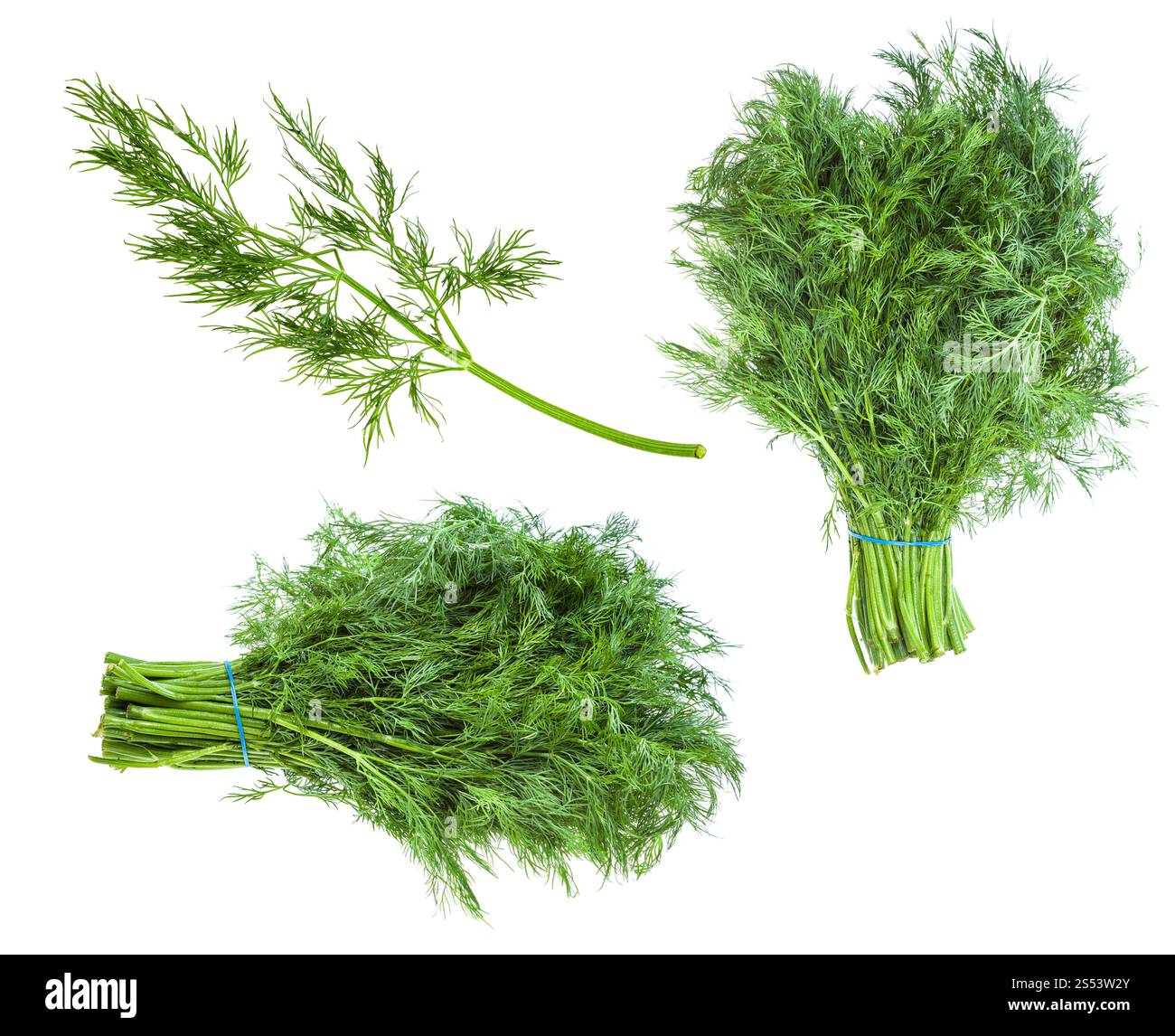 set from fresh green dill herb isolated on white background Stock Photo ...
