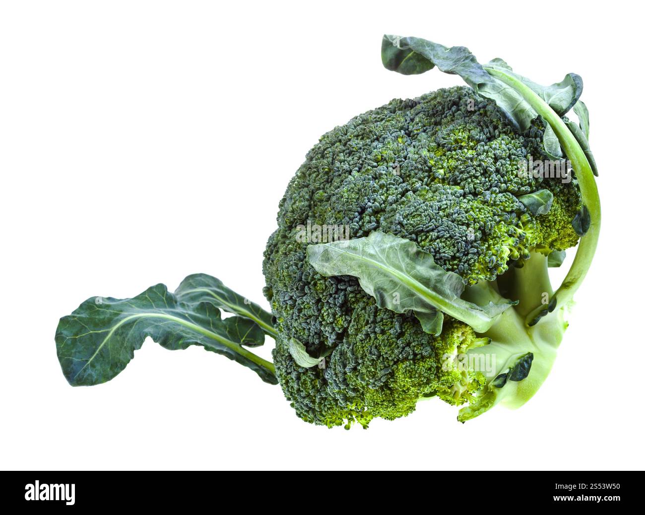 fresh green Broccoli with leaves isolated on white background Stock ...